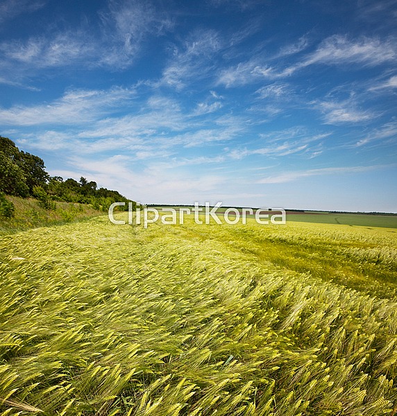 yayf9d9ec | 멤버십 해외 포토