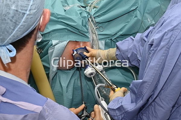 해외작가포토 - 클립아트코리아 :: 통로이미지(주)